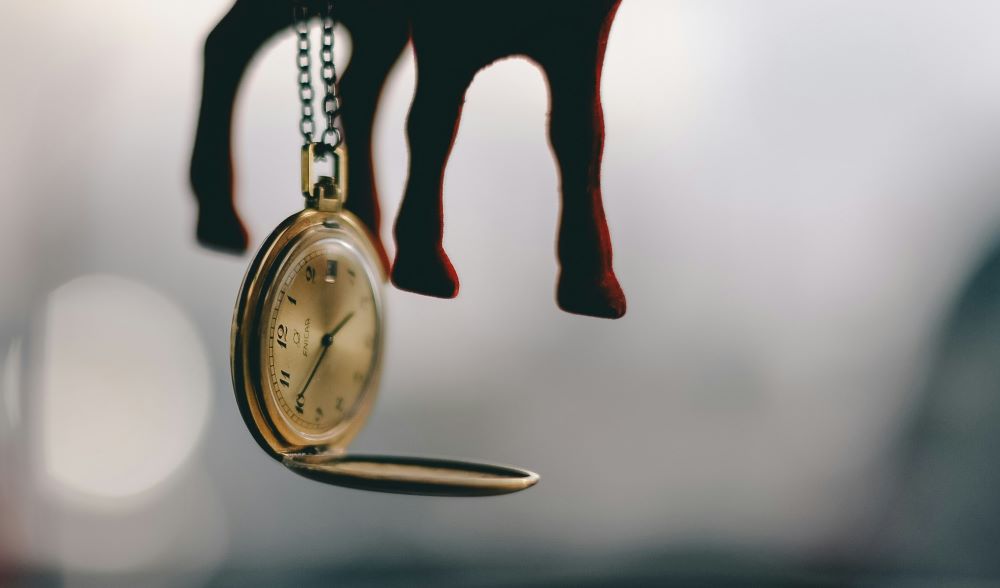 The Importance of Timely Debt Collection